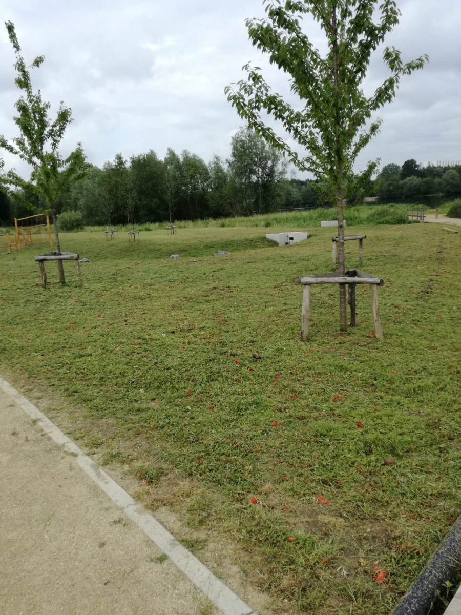 Aanleg Openbaar Groen | Landbeheer bv